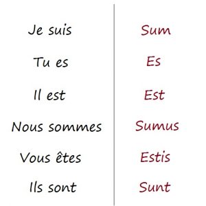 Sum et ses dérivés – Langues anciennes